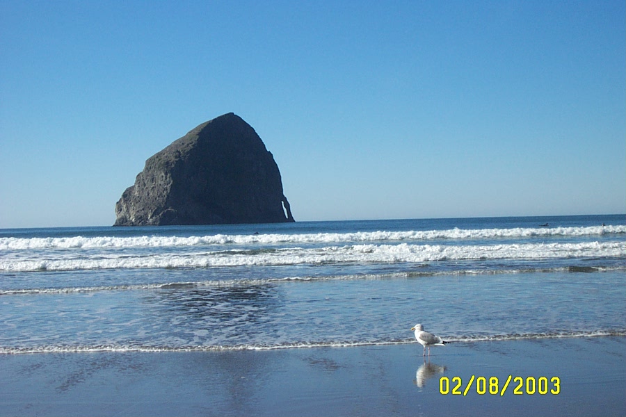 The dory fleet at Pacific City, Oregon is unique. The boats launch ...