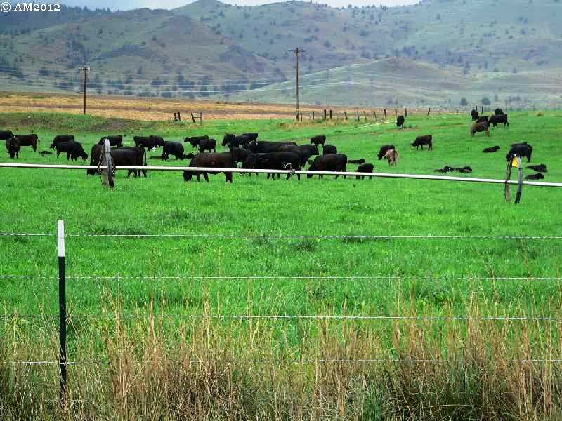 Founded in 1871 Antelope, Oregon flourished until the rail terminus ...