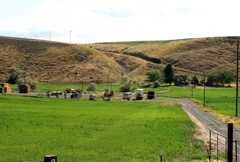 Lexington, Oregon is in grain country and the Morrow County Grain ...