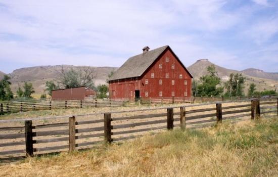 Dayville, Oregon has a lot of fossils and fossil hunters to keep it ...