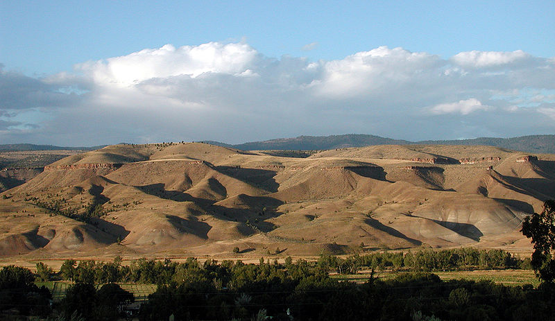 Dayville, Oregon has a lot of fossils and fossil hunters to keep it ...