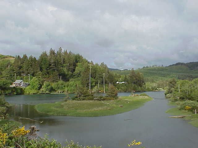 The town of Siletz is located on the uppen end of the Siletz estuary.