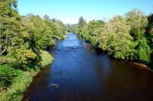 The town of Siletz is located on the uppen end of the Siletz estuary.
