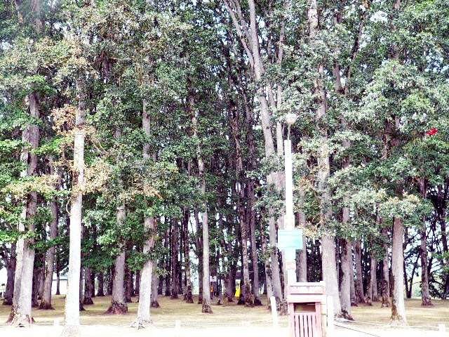 Molalla, Oregon sits where the Molalla river exits the Coast Range ...