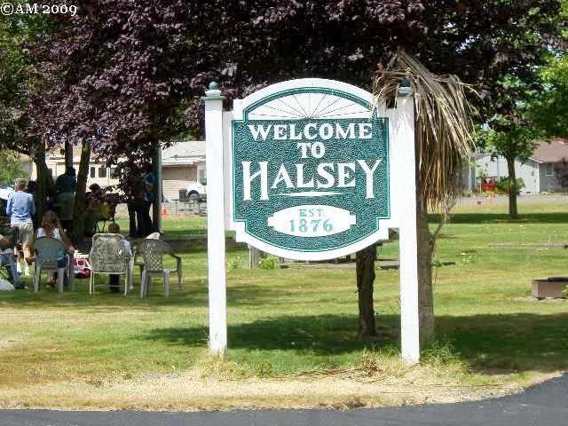 Halsey, Oregon is surrounded by grass seed production fields.