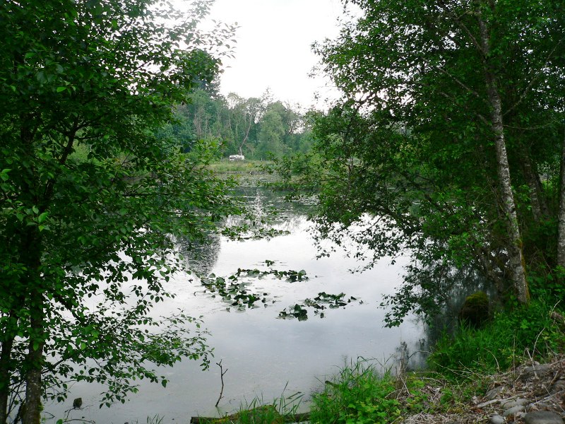 Lyons, Oregon has a great city park.