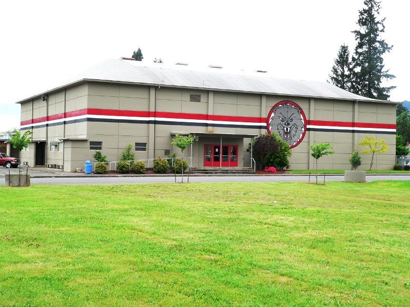Mill City, Oregon, has a great pedestrian bridge across the Sanitam river.
