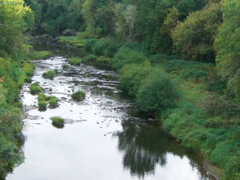 Elkton, Oregon is on Highway 38 running along the main Umpqua river.