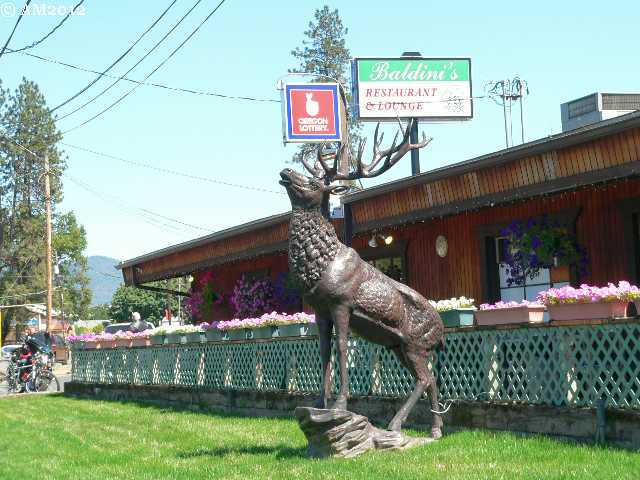 Merlin, Oregon gets its name from the local Merlin falcon.