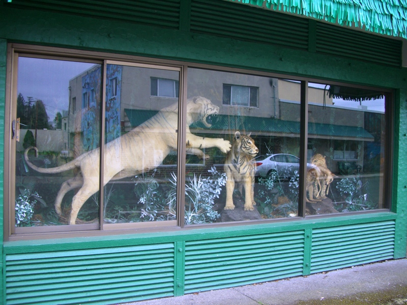 Estacada, Oregon, is a mill and lumbering town which like Molalla and ...