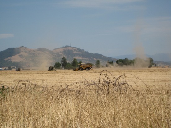 Tangent, Oregon was originally inhabited by mound builder Indians whose ...