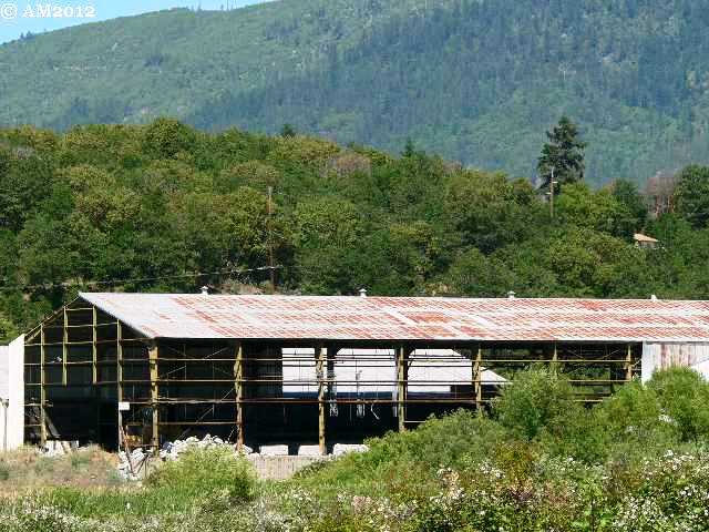 Merlin, Oregon gets its name from the local Merlin falcon.